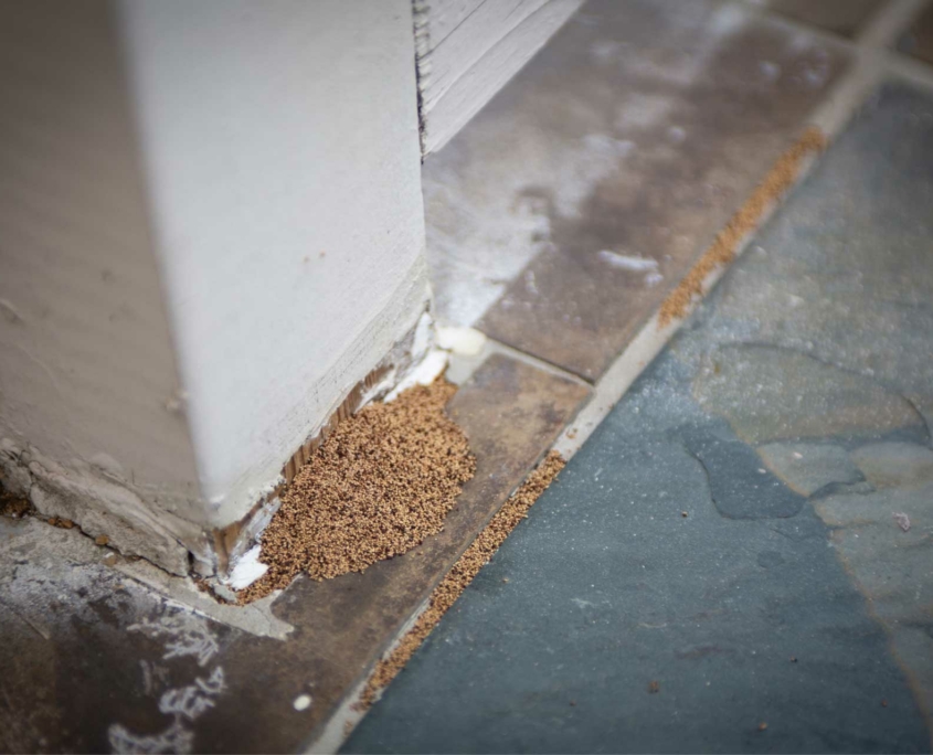 Inspection Services - LeeWay Home Inspection
